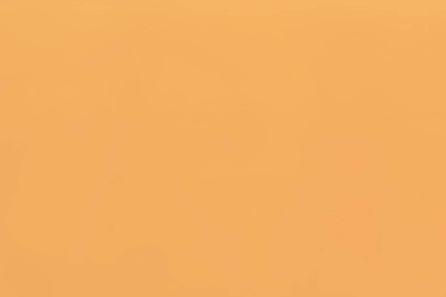 WATER BASED EXTERIOR PAINT | Düfa