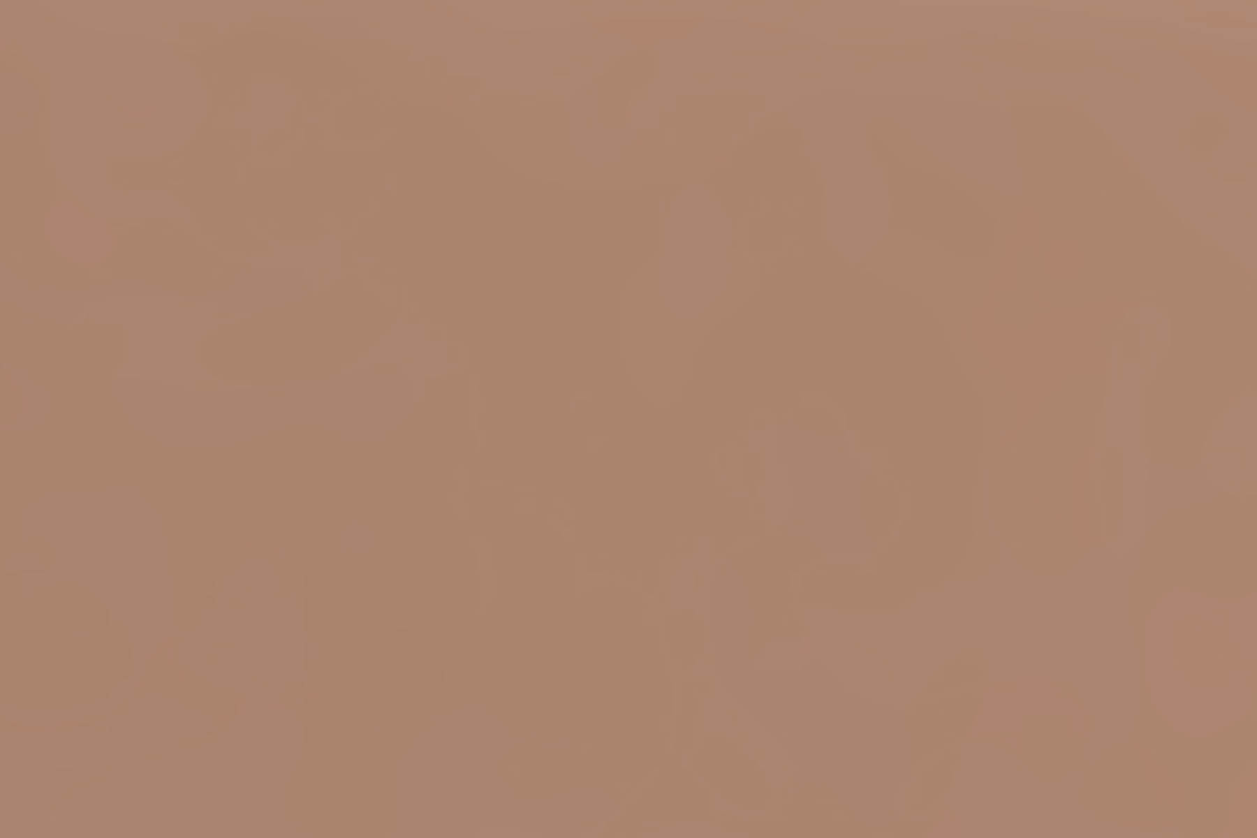 WATER BASED EXTERIOR PAINT | Düfa