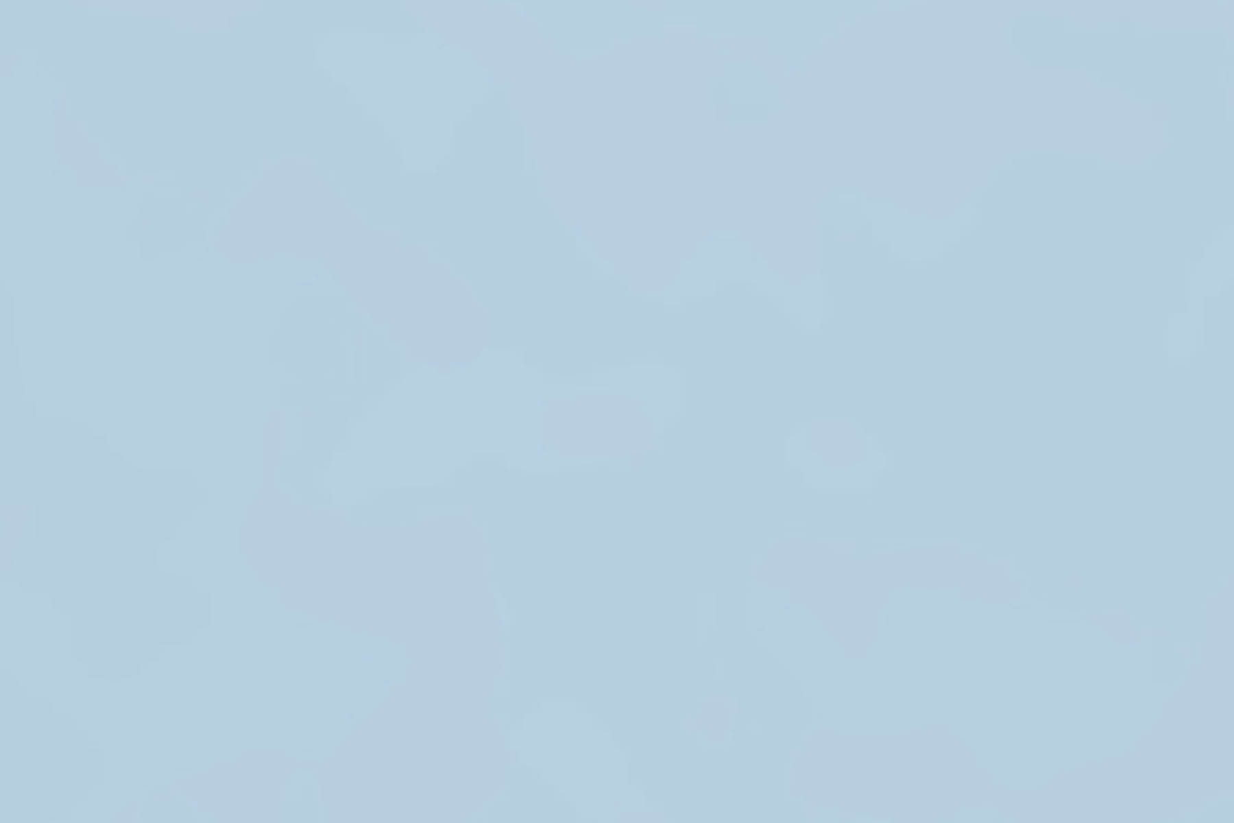 WATER BASED EXTERIOR PAINT | Düfa