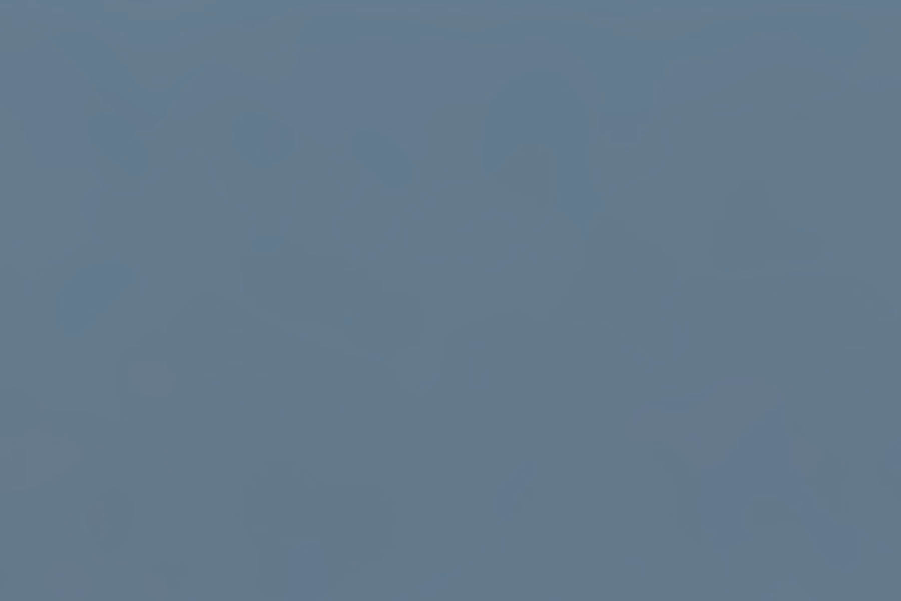 WATER BASED EXTERIOR PAINT | Düfa