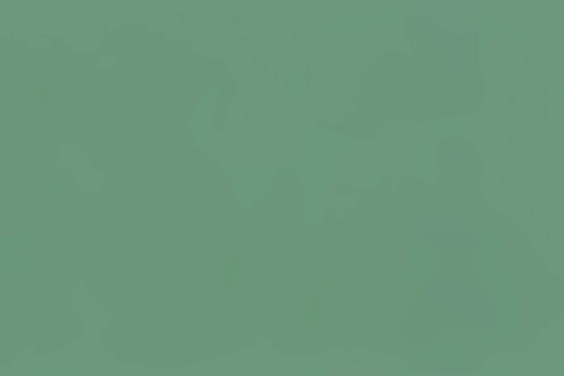 WATER BASED EXTERIOR PAINT | Düfa