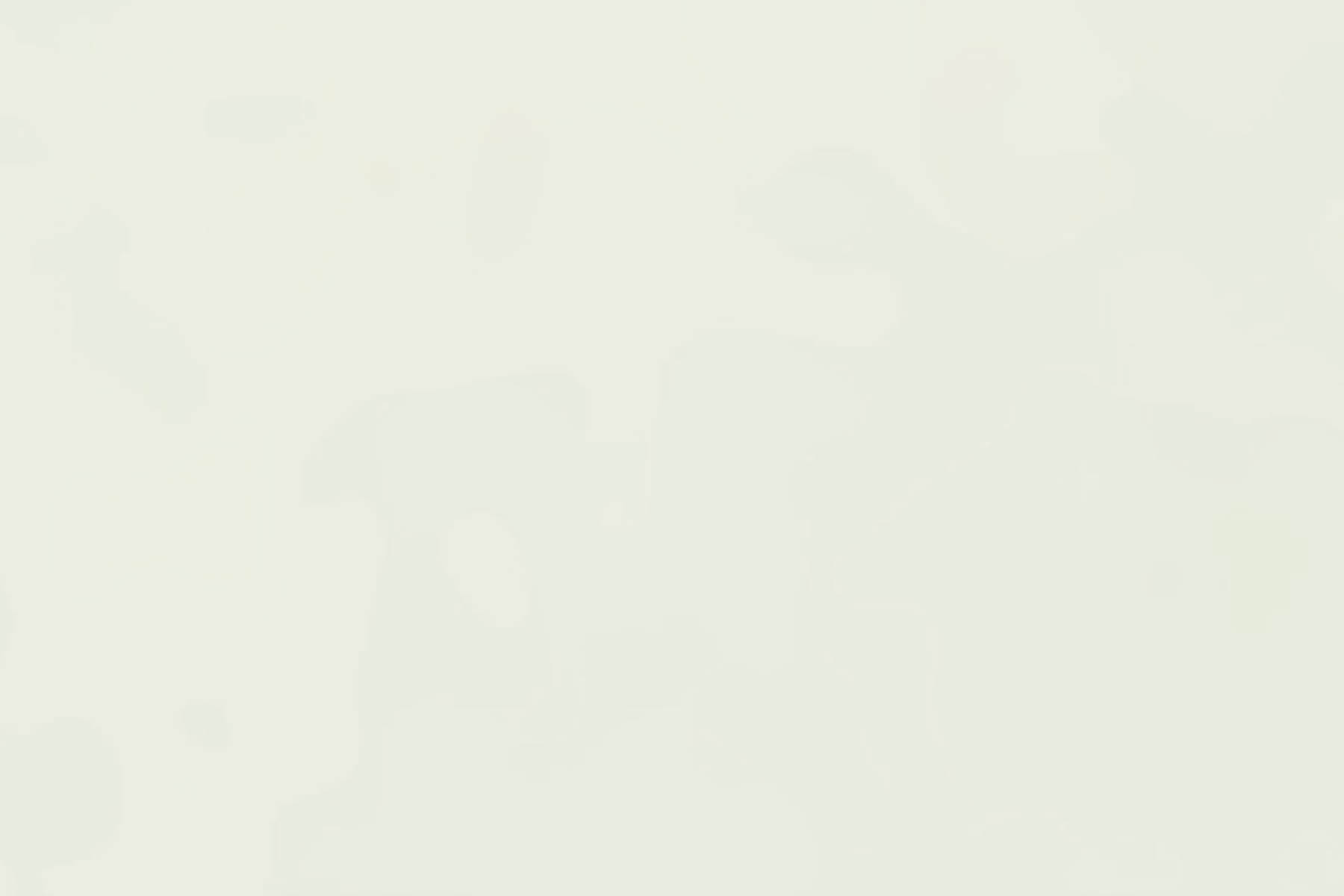 WATER BASED EXTERIOR PAINT | Düfa