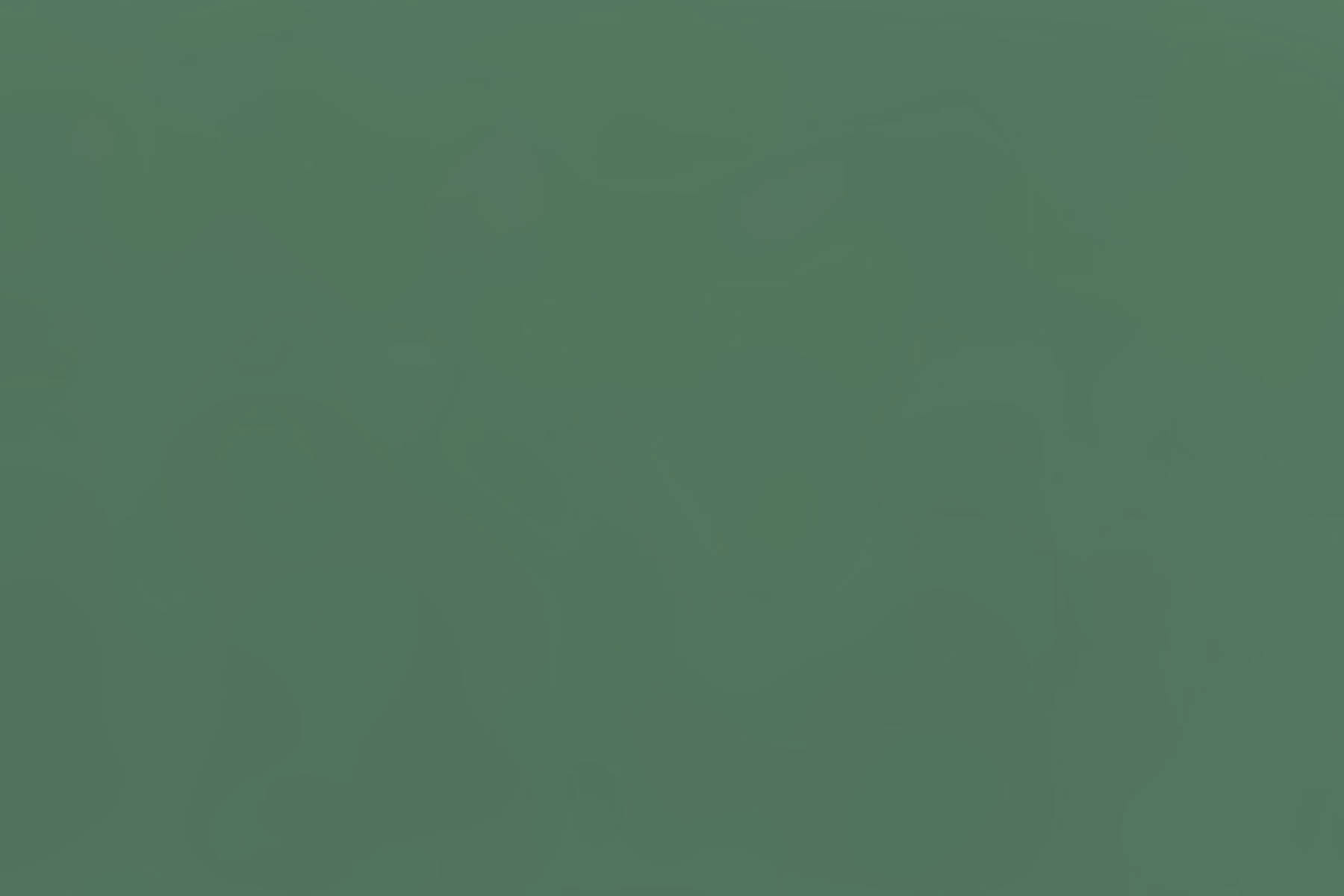 WATER BASED EXTERIOR PAINT | Düfa