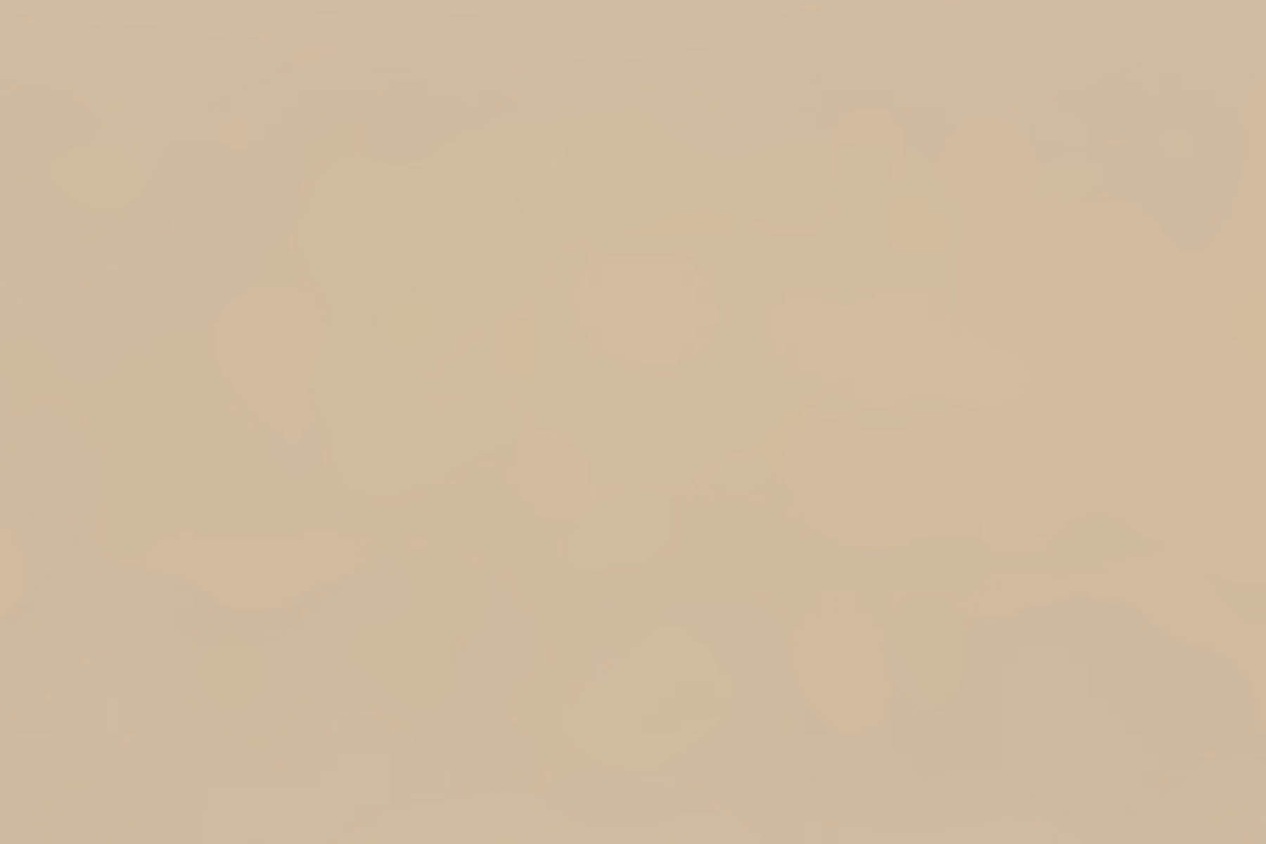 WATER BASED EXTERIOR PAINT | Düfa