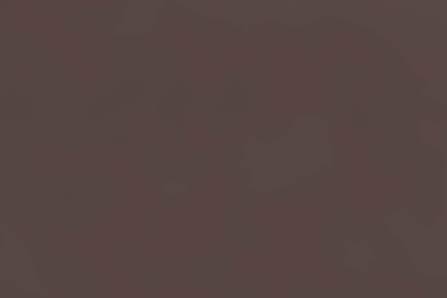 WATER BASED EXTERIOR PAINT | Düfa